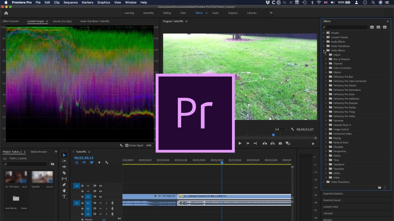 Modi Affascinanti Per Bloccare L inquadratura In Premiere Pro modi-affascinanti-per-bloccare-l-inquadratura-in-premiere-pro